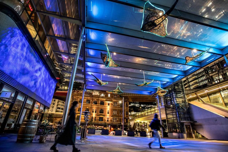 Clear Control | Barangaroo Rays