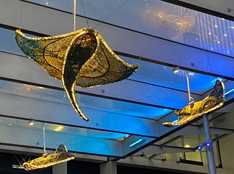 Clear Control | Barangaroo Rays