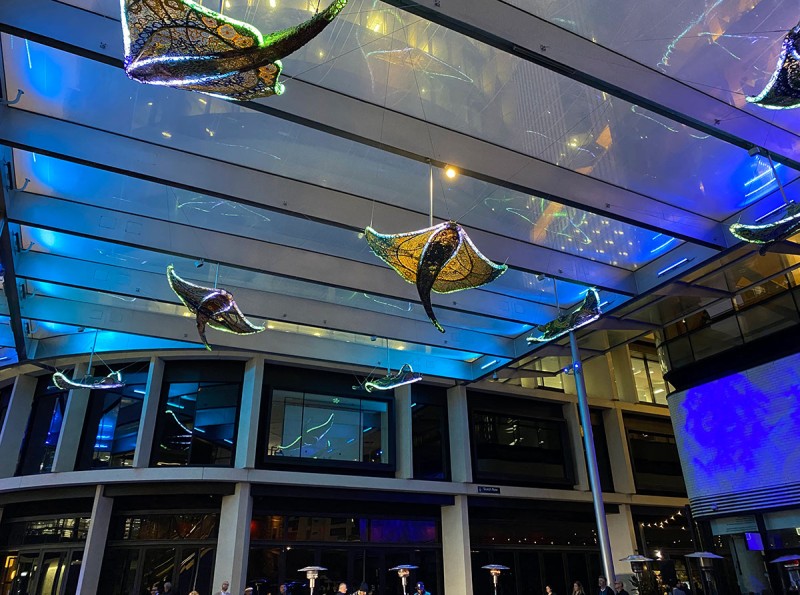 Clear Control | Barangaroo Rays