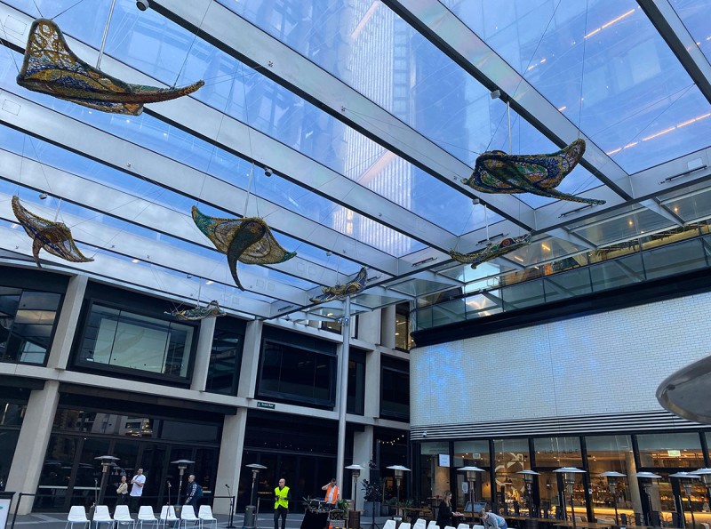 Clear Control | Barangaroo Rays